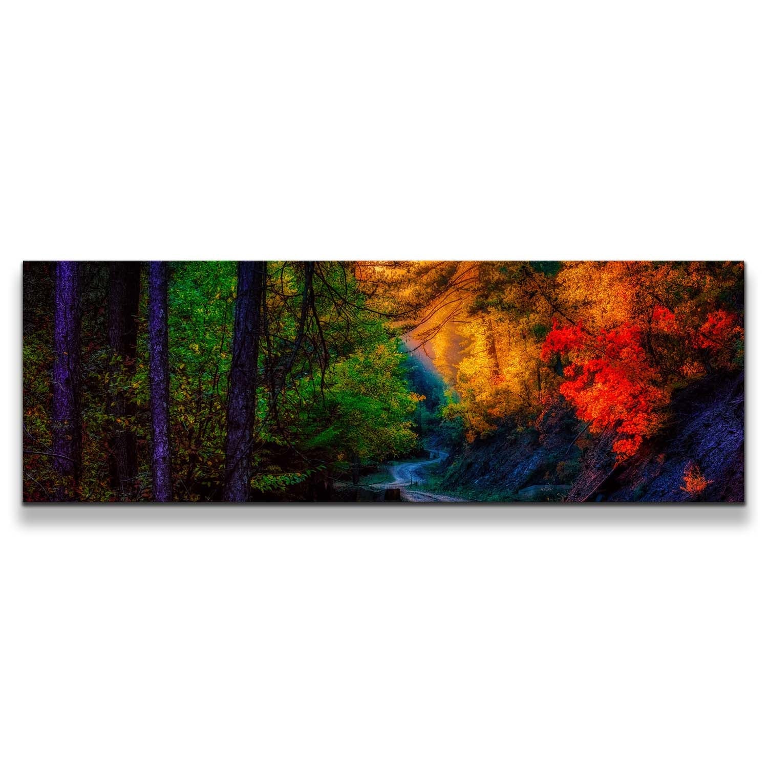 Panoramic Wall Art Colorful Path Through Beautiful Forest, Large Canvas ...